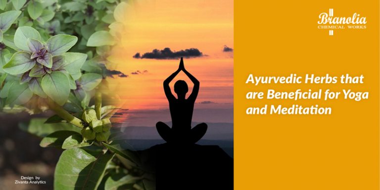 Essentials Herbs that Helps in Practicing Yoga | Branolia