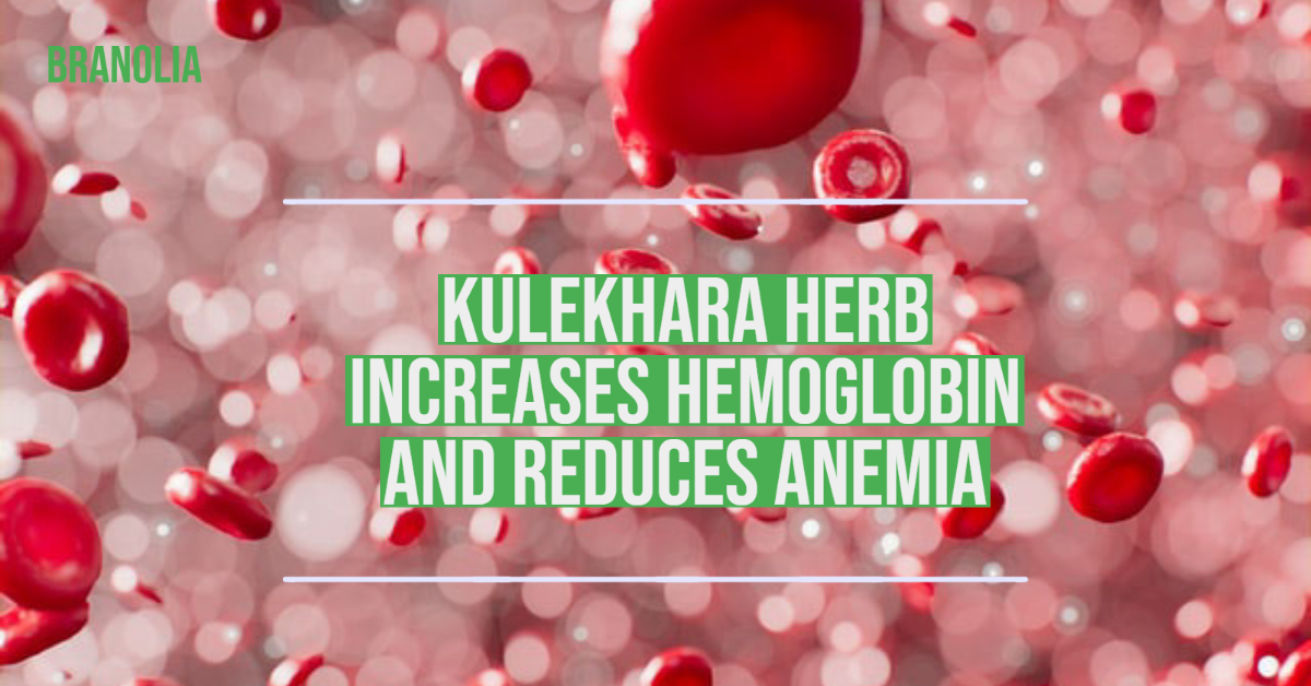 Kulekhara Herb in Kulerron Increases Hemoglobin and Reduces Anemia ...
