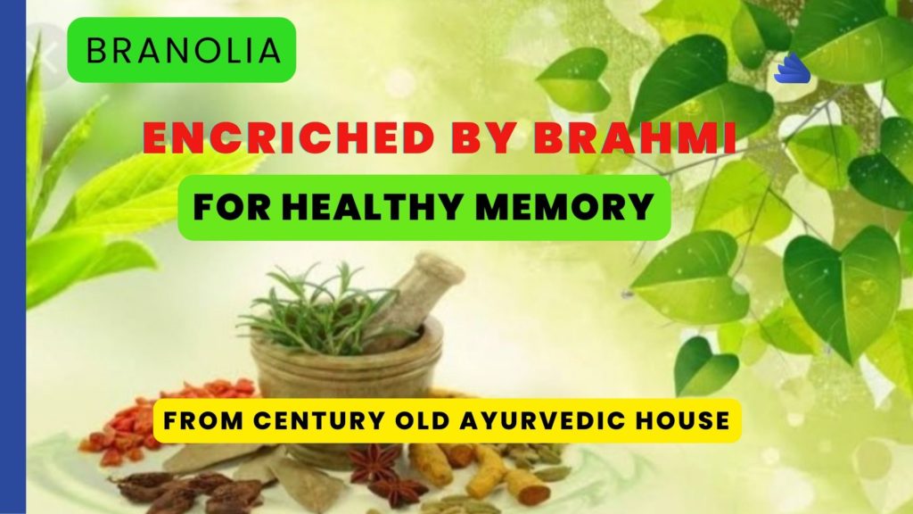 Brahmi the Memory Enhancer Ayurvedic Medicinal Plant | Branolia
